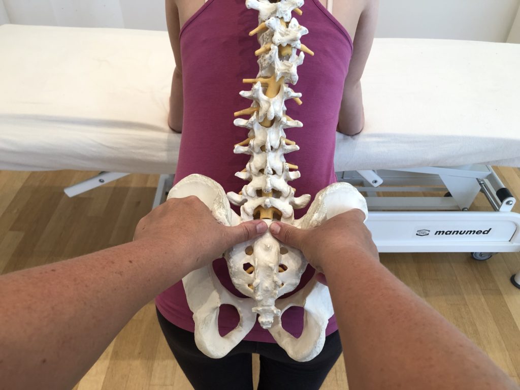 Das Geniale an der Dorn – Methode… – petra-hornung.info